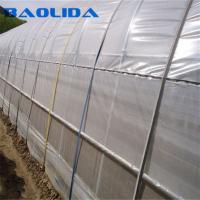 China Hot-dip Galvanized Steel Pipe Structure Polythene Tunnel Plastic Greenhouse For Tomato for sale