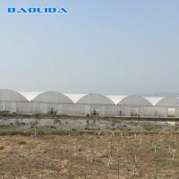 China Agricultural Commercial Industrial Plastic Film Tomato Grow System 150 Micro Multi Span Greenhouse for sale