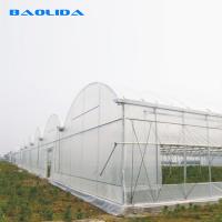 China Cooling System Plastic Film200 Micron Reinforced Plastic Sheeting Greenhouse Multi Span Greenhouse for sale