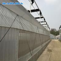 China Cooling System Plastic Film200 Micron Reinforced Plastic Sheeting Greenhouse Multi Span Greenhouse for sale