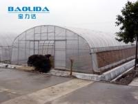 China Tunnel Cover Reinforced Clear Poly Sheeting Polyethylene Film Greenhouse for sale