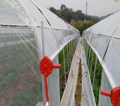 China Galvanized Steel Pipe Single Span Side Ventilation Plastic Film Tomato Greenhouse for sale