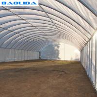 China 8m Width 200 Micron Film Agriculture 60m Anti Rust Tunnel Plastic Greenhouse for sale