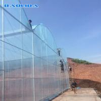 China Plants Growing Automatic Plastic Film Humidity Control Side Ventilation Multi Span Greenhouse for sale