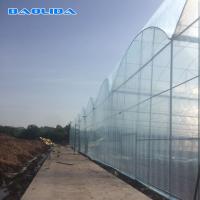 China Plants Growing Automatic Plastic Film Humidity Control Side Ventilation Multi Span Greenhouse for sale