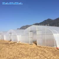China Tunnel Cover Reinforced Clear Poly Sheeting Polyethylene Film Greenhouse for sale