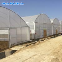 China Plants Growing Automatic Plastic Film Humidity Control Side Ventilation Multi Span Greenhouse for sale