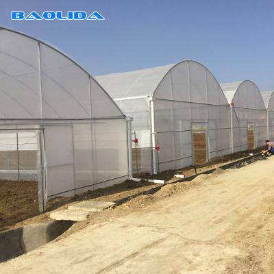 China Plants Growing Automatic Plastic Film Humidity Control Side Ventilation Multi Span Greenhouse for sale