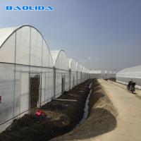 China Plants Growing Automatic Plastic Film Humidity Control Side Ventilation Multi Span Greenhouse for sale