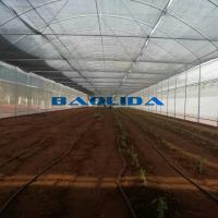 China Clear UV Treated Film Anti Rust Metal Structure Tunnel Greenhouse for sale
