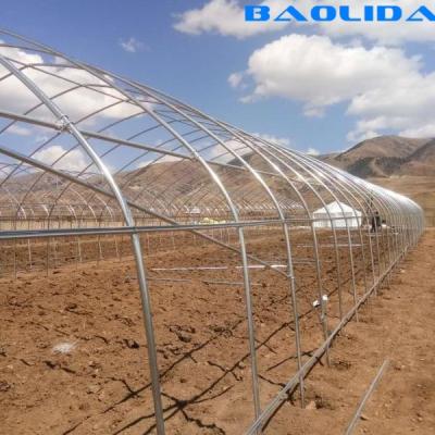 China Agricultural High Hoop Arch Polyethylene Film Greenhouse For Planting for sale