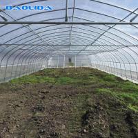 China Side Ventilation  Single Span Vegetable Growing Polyethylene Film Greenhouse for sale