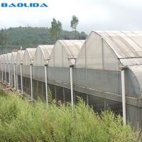 China Gothic Style Multispan High Tunnel Plastic Film Multi Span Greenhouse For Tomato Growing for sale