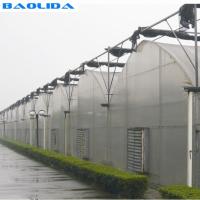 China Large Agroculture Plastic Film Coverd Transparent 200 Micron Multi Span Greenhouse for sale