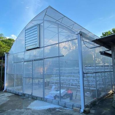 China Side Ventilation  Single Span Vegetable Growing Polyethylene Film Greenhouse for sale