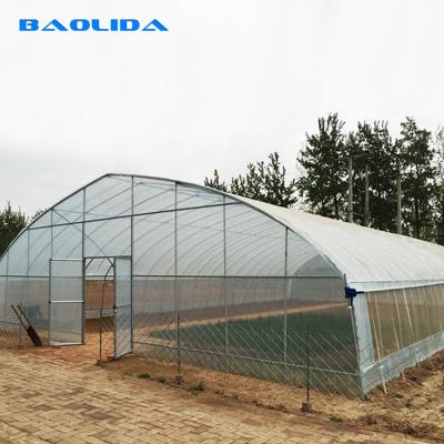 China Anti Dew 6 Width Tunnel Plastic Greenhouse For Vegetable Growing for sale
