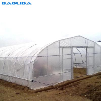 China UV Resistant Single Span Clear Plastic Greenhouse Polyethylene Film Greenhouse for sale