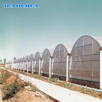 China 200 Micron Polyethylene Film Large Scale Multispan Greenhouse for sale