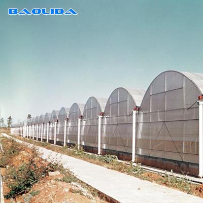 China 200 Micron Polyethylene Film Large Scale Multispan Greenhouse for sale
