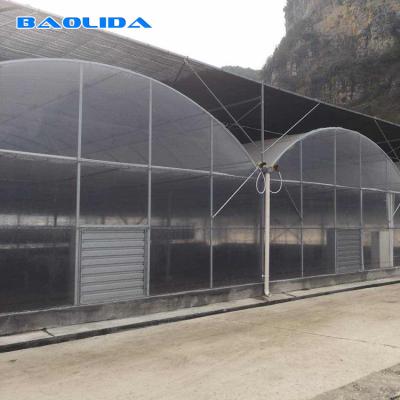 China Large Agroculture Plastic Film Coverd Transparent 200 Micron Multi Span Greenhouse for sale