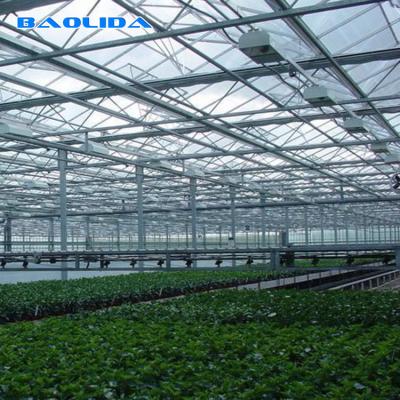 China Agriculture Multi Span Venlo Glass Greenhouse For Tomato Planting for sale