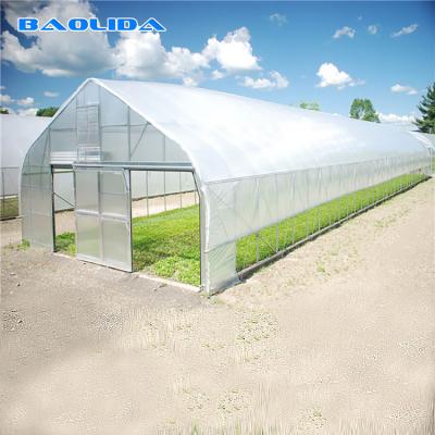 China Hot Dip Galvanized Polyethylene Film Greenhouse Agricultural Anti Drip for sale