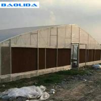 China Anti Insect Sides Ventilation Galvanized Frame Tunnel Greenhouse Polyethylene Film Greenhouse for sale