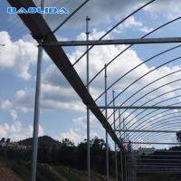 China High Straight Wall Wind Resistant Multispan Greenhouse With Gutter for sale