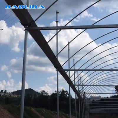 China High Straight Wall Wind Resistant Multispan Greenhouse With Gutter for sale