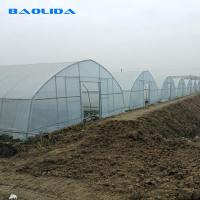 China Galvanized Single Span Plastic Tunnel Greenhouse Customized Vegetable Growing for sale