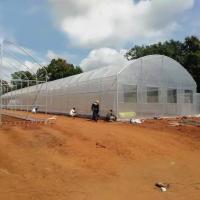 China Tropical Agricultural Single Span Tunnel Plastic Film Polyethylene Film Greenhouse for sale