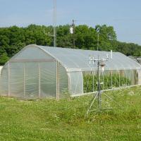 China Galvanized Single Span Plastic Tunnel Greenhouse Customized Vegetable Growing for sale