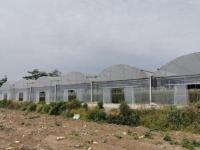 China Agriculture Plants Growing Multispan Greenhouse Cooling System With Top / Sides Ventilation for sale