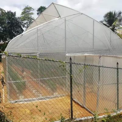 China Width 10m 8m Tunnel Plastic Sawtooth Top Vent Greenhouse For Strawberry Growing for sale