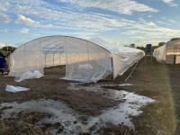 China Hot Dip Galvanized Polyethylene Film Greenhouse Agricultural Anti Drip for sale