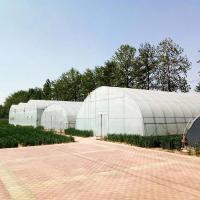 China Hot Galvanized Steel Pipe Plastic Tunnel Greenhouse Agricultural for sale