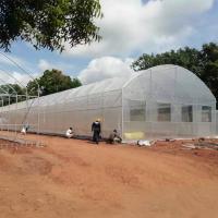China Hot Galvanized Steel Pipe Plastic Tunnel Greenhouse Agricultural for sale
