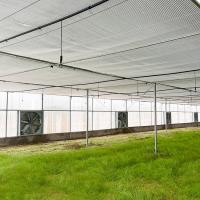 China Hot Sale Factory Direct Sales Greenhouse Pipe Galvanized Steel Pipe For Multi Span Greenhouse for sale