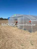 China Single Span Vegetable Tunnel Plastic Grow House Agricultural Galvanized for sale