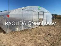 China Single Span Vegetable Tunnel Plastic Grow House Agricultural Galvanized for sale