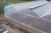 China Agriculture Plants Growing Multispan Greenhouse Cooling System With Top / Sides Ventilation for sale
