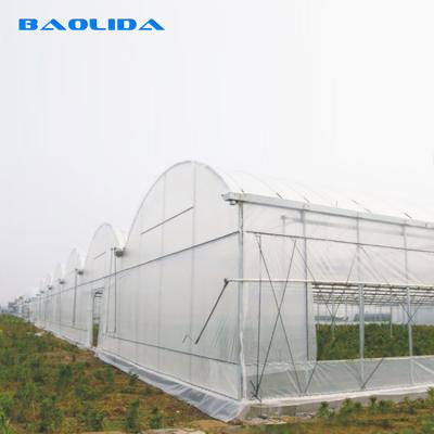 China Agriculture Plants Growing Multispan Greenhouse Cooling System With Top / Sides Ventilation for sale