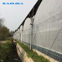China 0.2mm film Standard Multi Span Greenhouse for Vegetable Fruits Flowers for sale