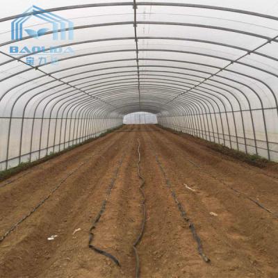 China Side Ventilation Plastic Single Span Tunnel Polyethylene Film Greenhouse for sale
