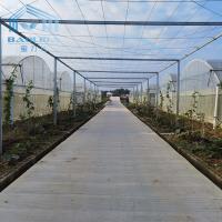 China 0.2mm film Standard Multi Span Greenhouse for Vegetable Fruits Flowers for sale
