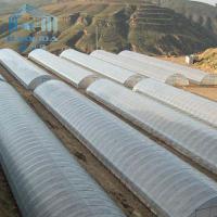 China Polyethylene Film Tunnel Steel Frame Greenhouse Single Span Ground Inserted for sale