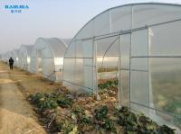 China Hot Galvanized Steel Pipe Plastic Tunnel Greenhouse Agricultural for sale