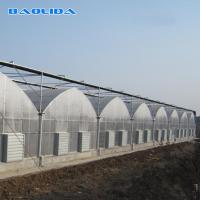 China PE Film Tunnel Multi Span Greenhouse High Large Size Anti UV Multi Span Greenhouse for sale