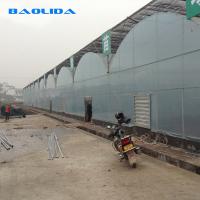 China 0.2mm film Standard Multi Span Greenhouse for Vegetable Fruits Flowers for sale