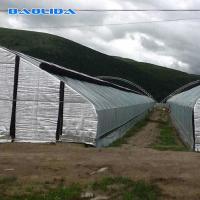 China Light Deprivation Greenhouse 10m*100m For Hydroponic Hemp Growing for sale